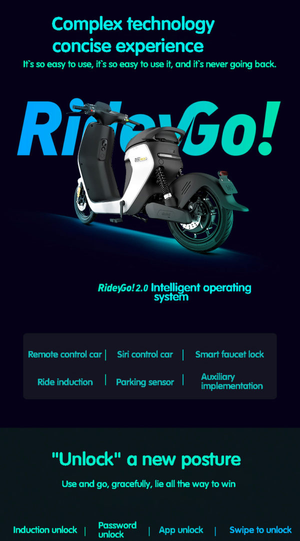 Segway Ninebot 2021 New eMoped C90 Electric Bike Bicycle