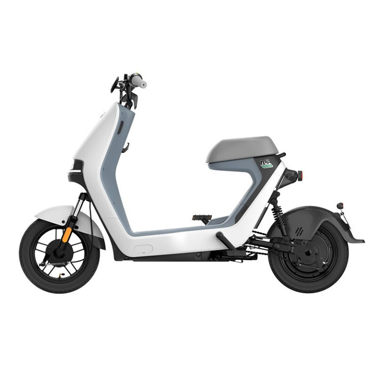 Segway Ninebot eMoped A30C Electric Bike Bicycle (fixed battery -40km ...